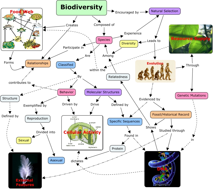 Loverich_CMAP 2_Biodiversity